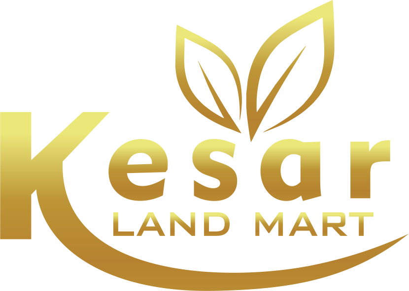 KESAR LAND MART – The Kashmiri Brand that Believes in Originality